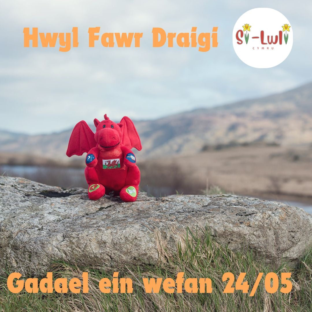 The Home of Welsh Toys | Y Cartref Teganau Cymraeg – Si-lwli Cymru